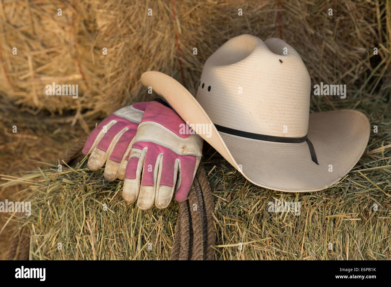 Still Life Cowboy Hat, Lariat, and Work Gloves on a Bale of Hay ...