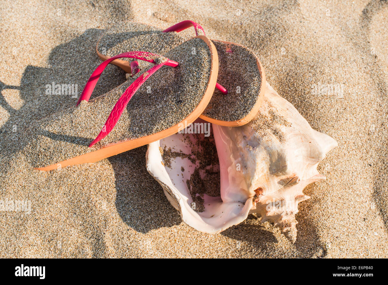 Light blue sandals hi-res stock photography and images - Alamy