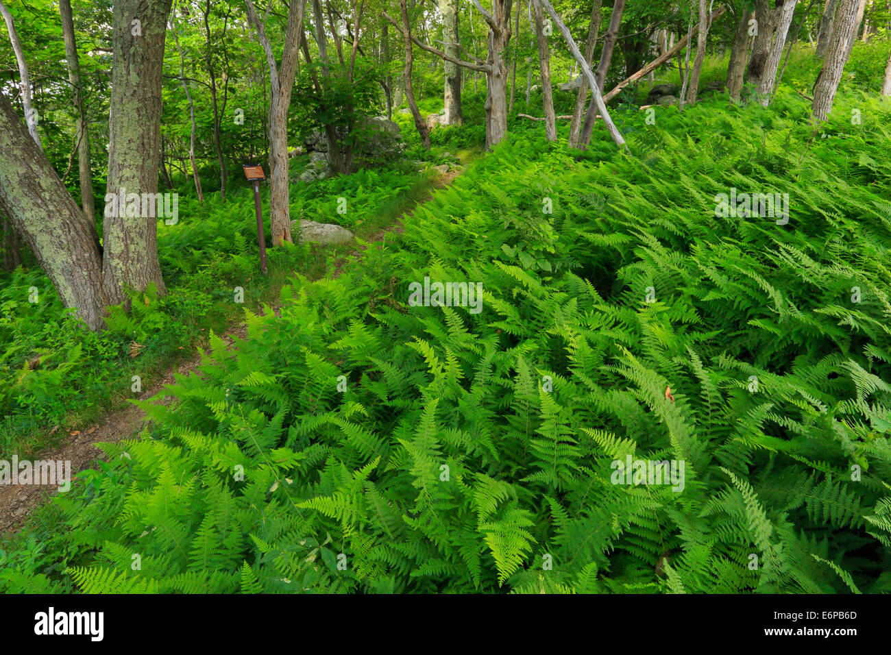 Appalachian Trail Access, Rock Spring Cabin Connector, Shenandoah ...