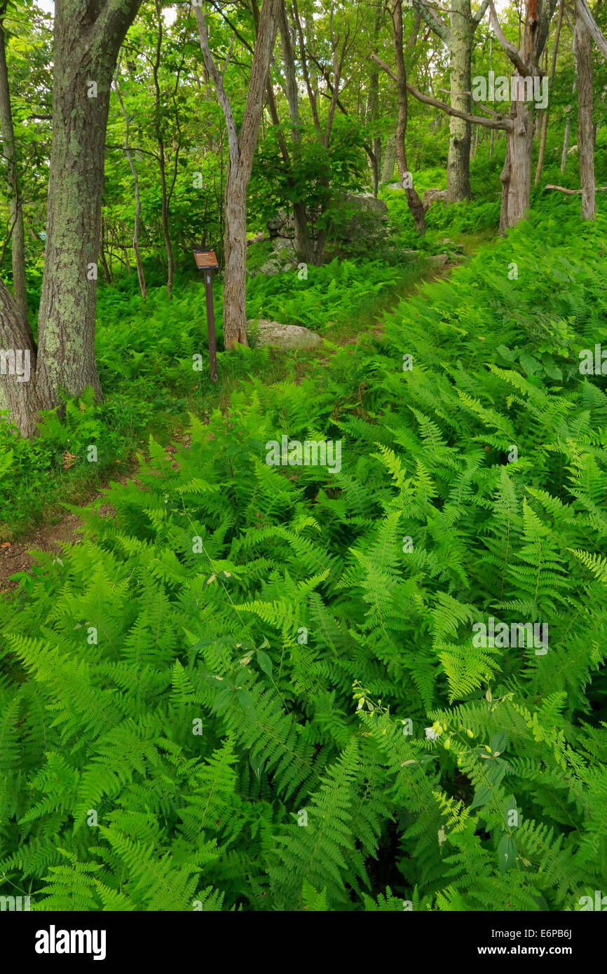 Appalachian trail access hi-res stock photography and images - Alamy