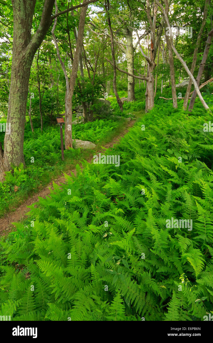 Appalachian Trail Access, Rock Spring Cabin Connector, Shenandoah ...