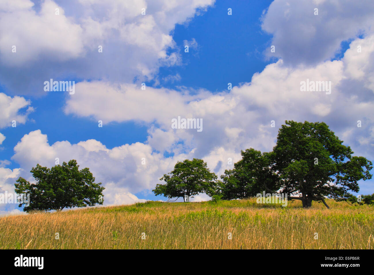 Big Meadows, Shenandoah National Park, Virginia, USA Stock Photo - Alamy