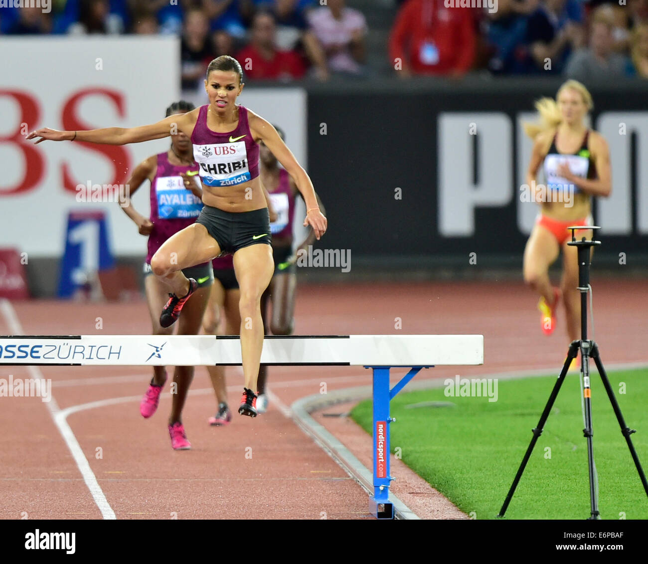 2014 women 3000m steeplechase hi-res stock photography and images - Alamy