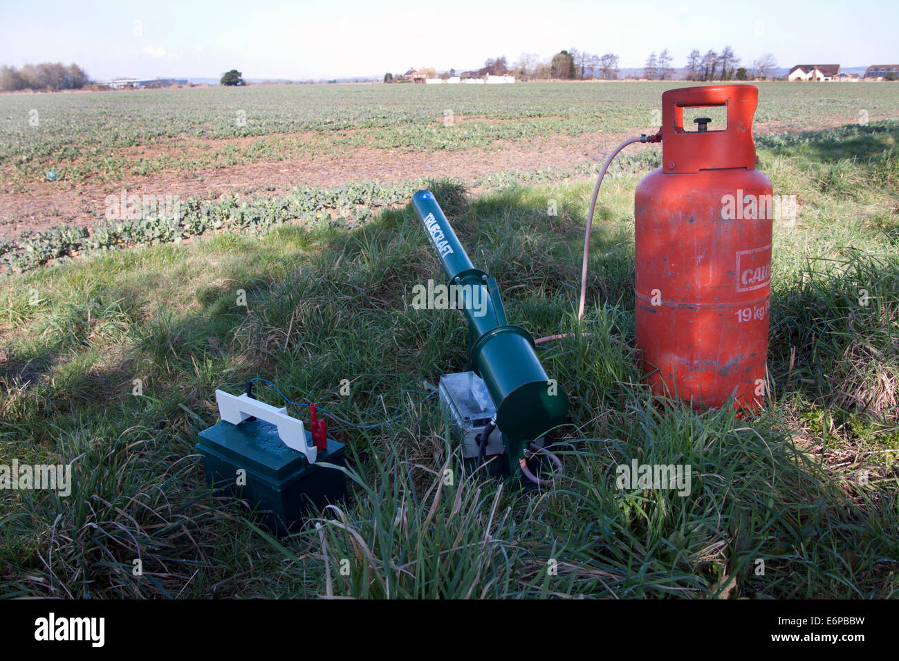 gas gun connected to battery in field of crops, Sussex, England Stock ...