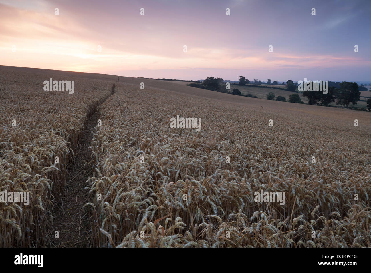 Narrow winding pathway hi-res stock photography and images - Alamy