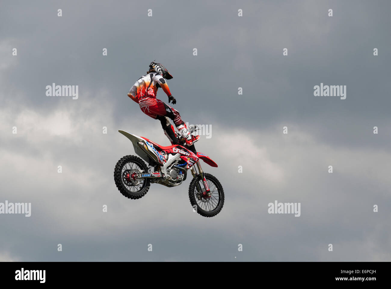 Motocross dog scotland hi-res stock photography and images - Alamy