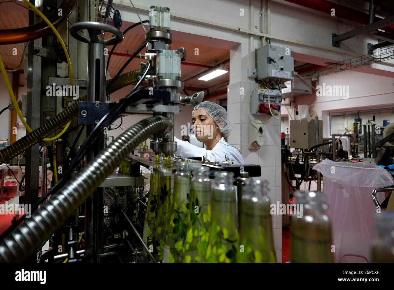 An Israeli woman working in the olive oil factory of Kibbutz Yad ...