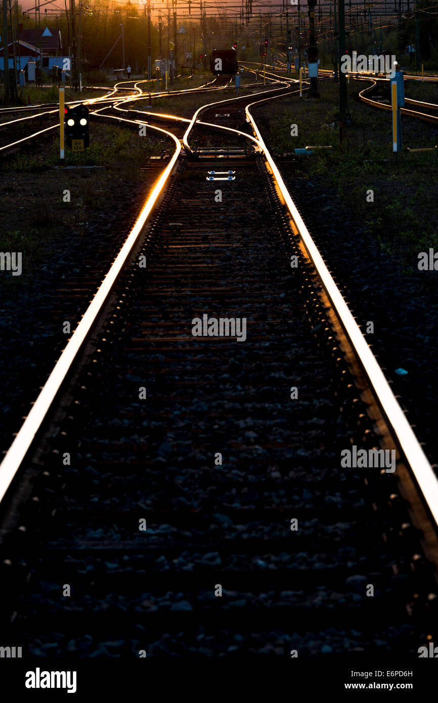 Evening sun reflecting in railroad tracks with traffic lights in ...