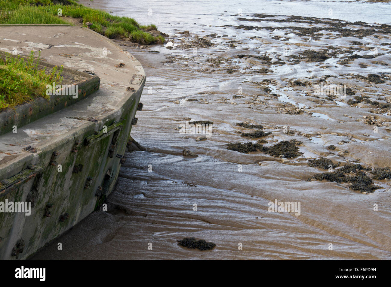 Slimbridge and river severn hi-res stock photography and images - Alamy