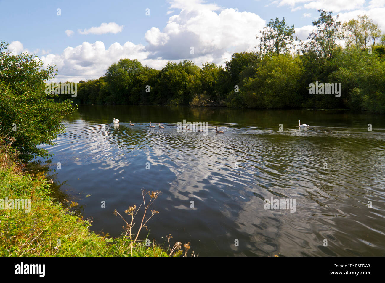 Slimbridge and Sharpness Stock Photo - Alamy