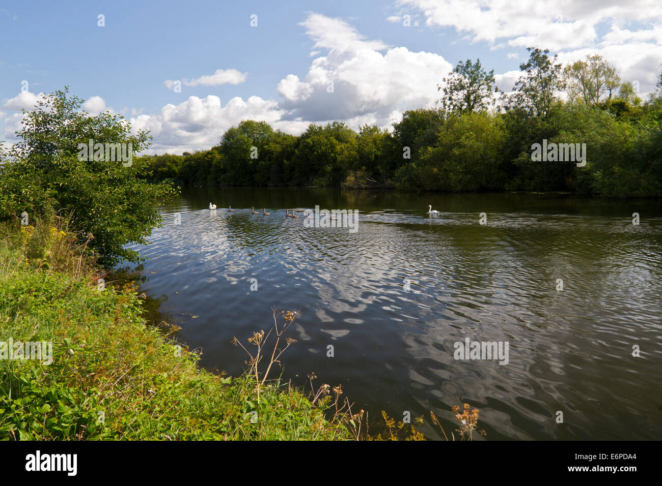 Slimbridge and Sharpness Stock Photo - Alamy