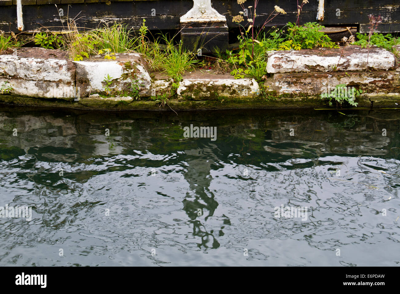 Slimbridge gloucestershire sharpness canal hi-res stock photography and ...