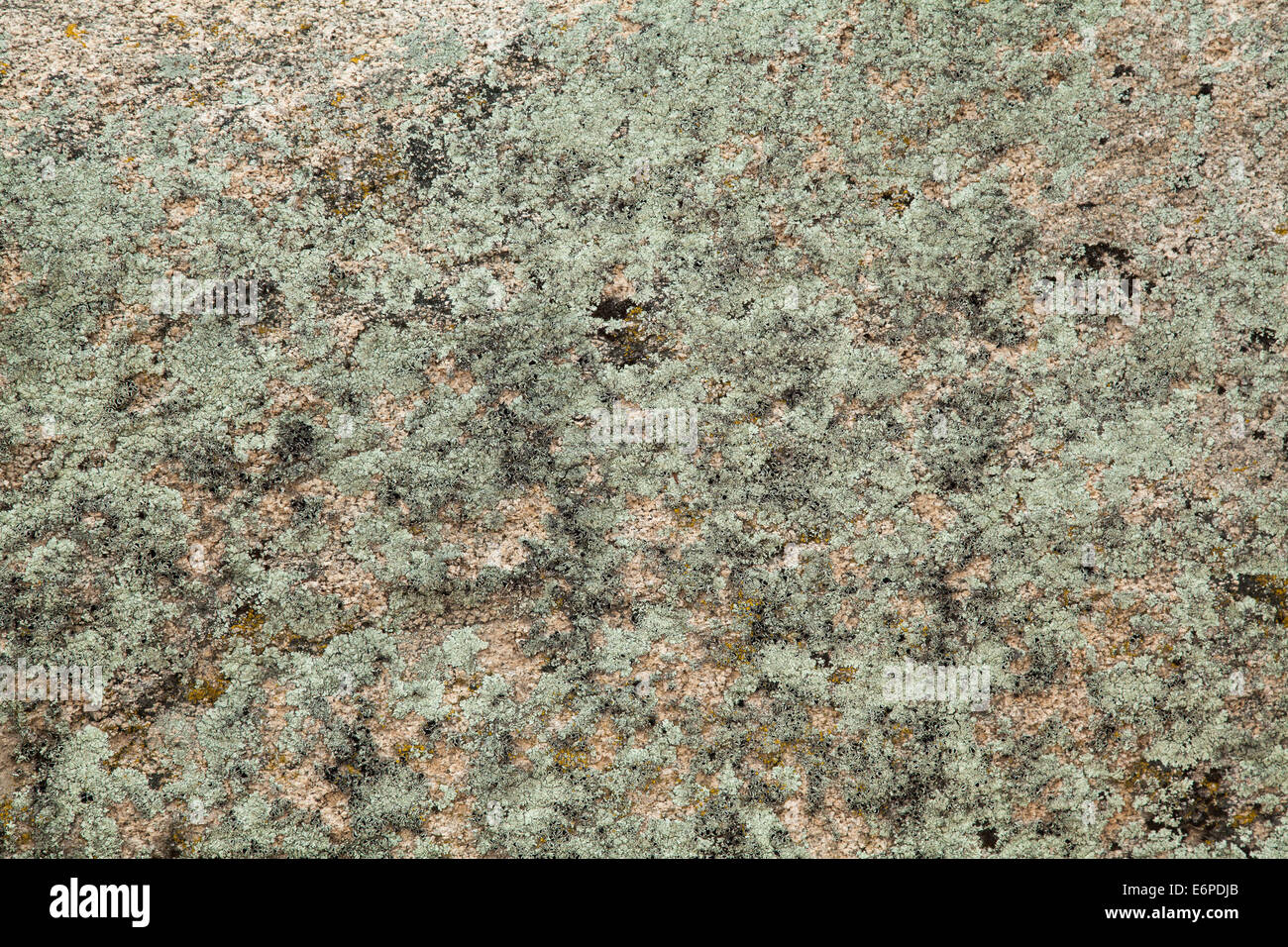 Quartz monzonite hi-res stock photography and images - Alamy