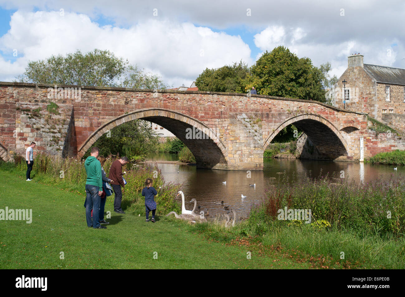 Family feeding swans near Nungate Bridge, over the river Tyne ...