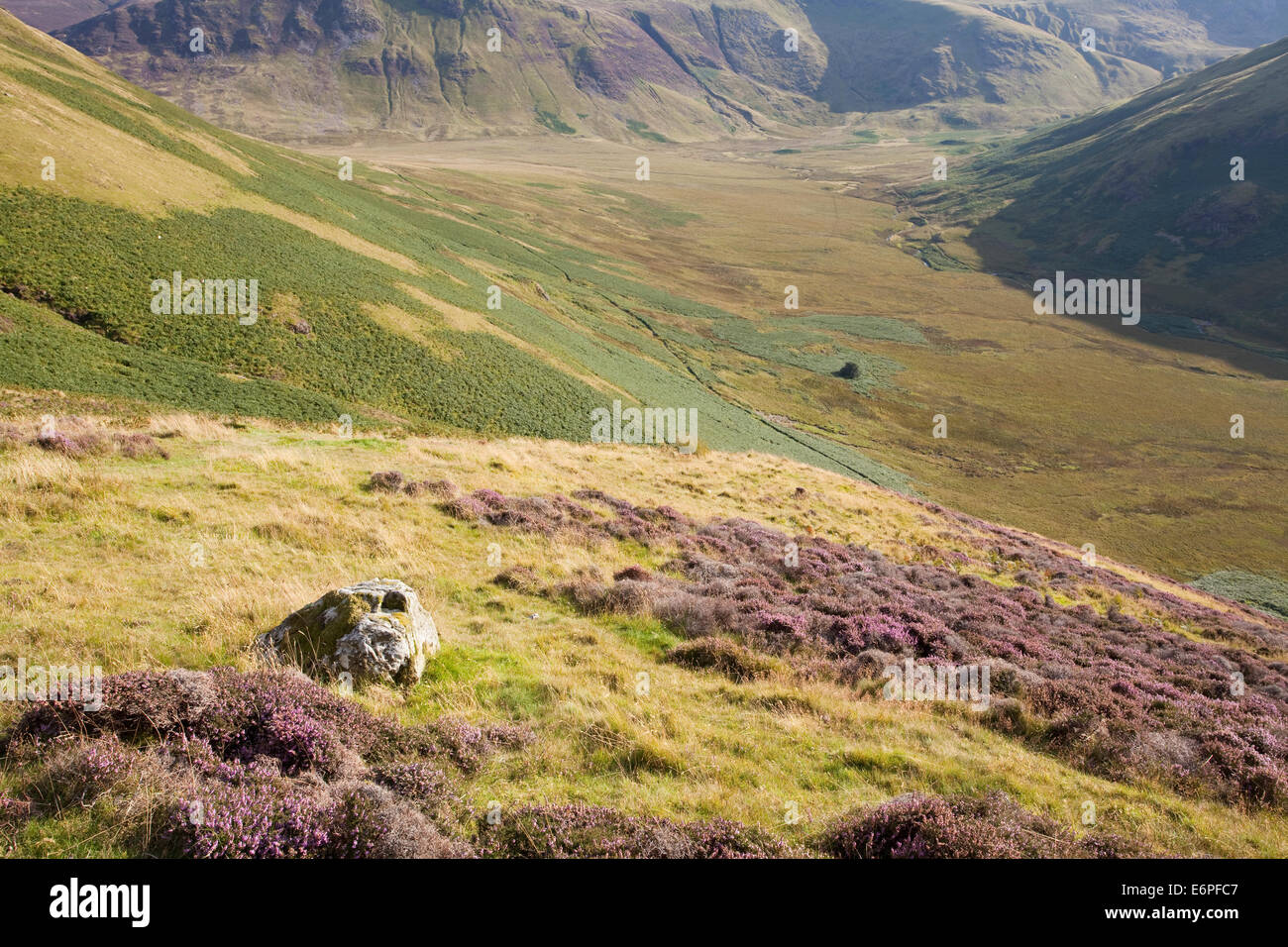 Mosedale park hi-res stock photography and images - Alamy