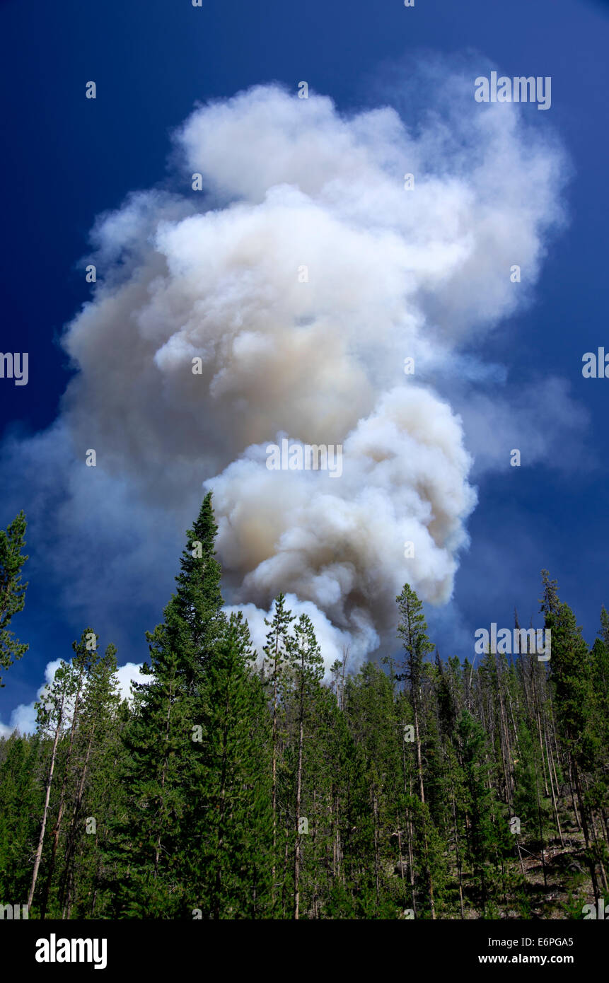 Forest Fire beginning near Red Fish Lake smoke Stock Photo - Alamy