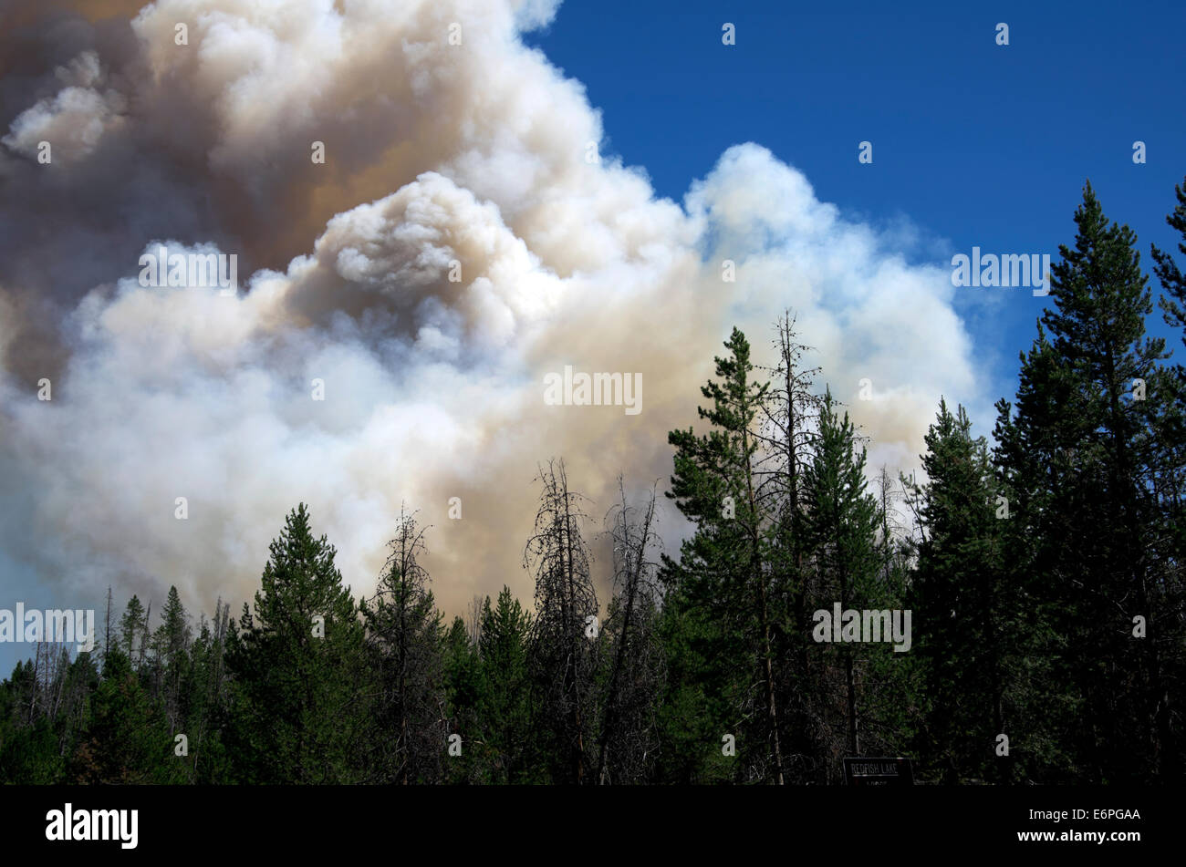 Forest Fire near Red Fish Lake after one hour Stock Photo - Alamy