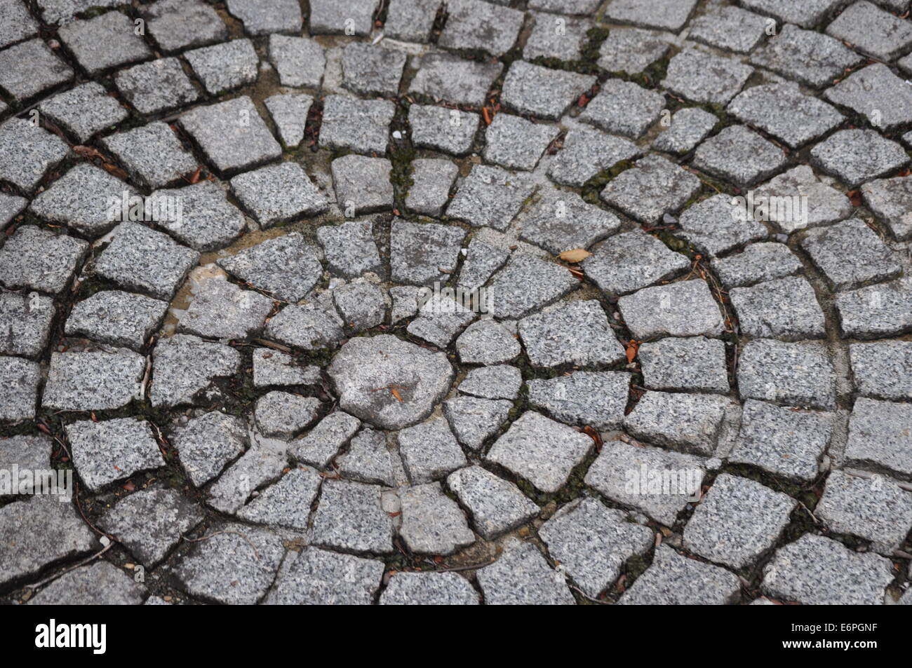 Stonework path in a public park, taken in Autumn Stock Photo - Alamy