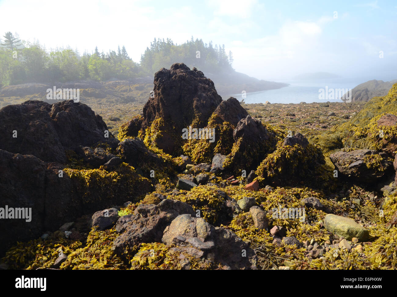 Blacks harbour new brunswick canada hi-res stock photography and images ...
