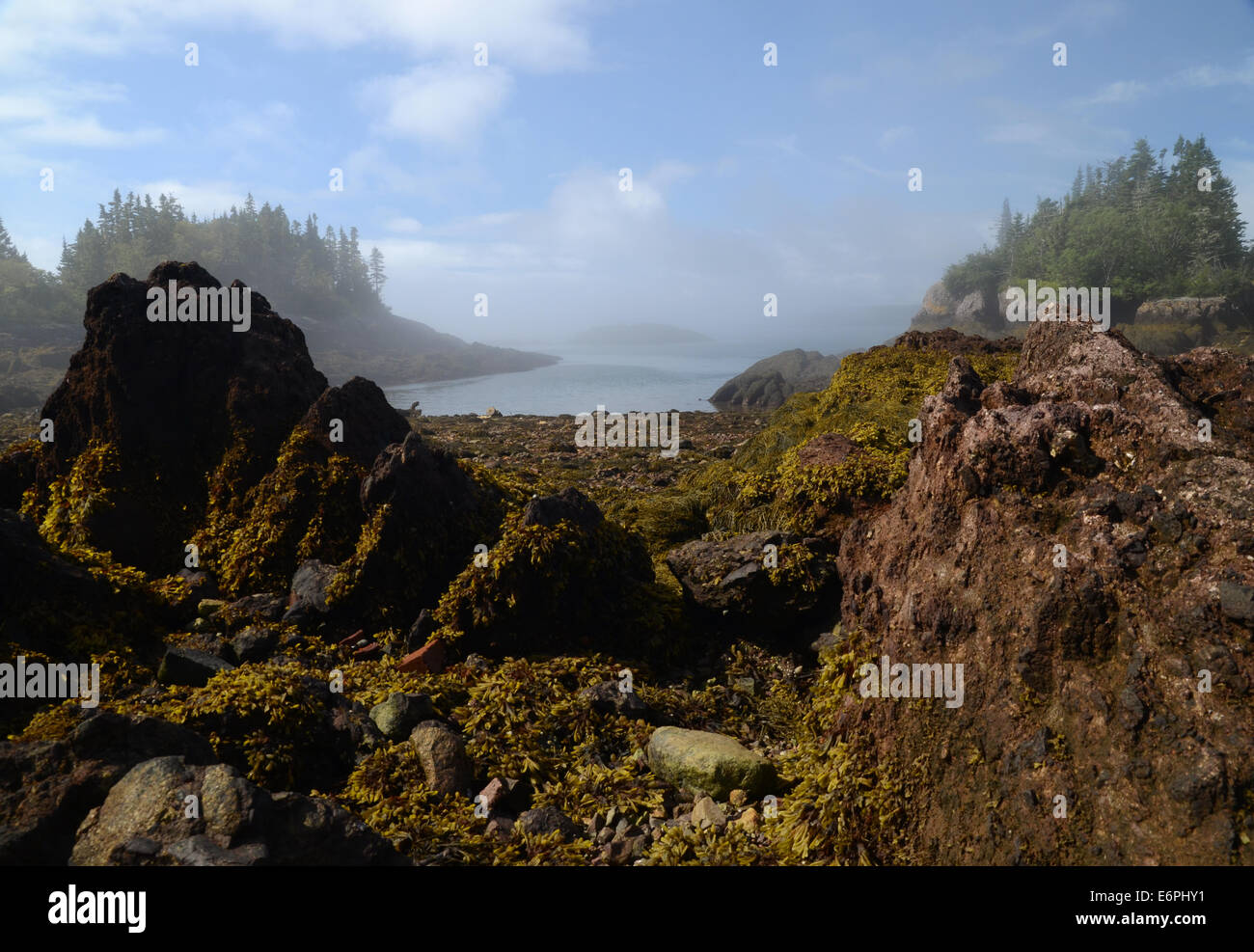 Blacks Harbour, New Brunswick, Canada Stock Photo - Alamy