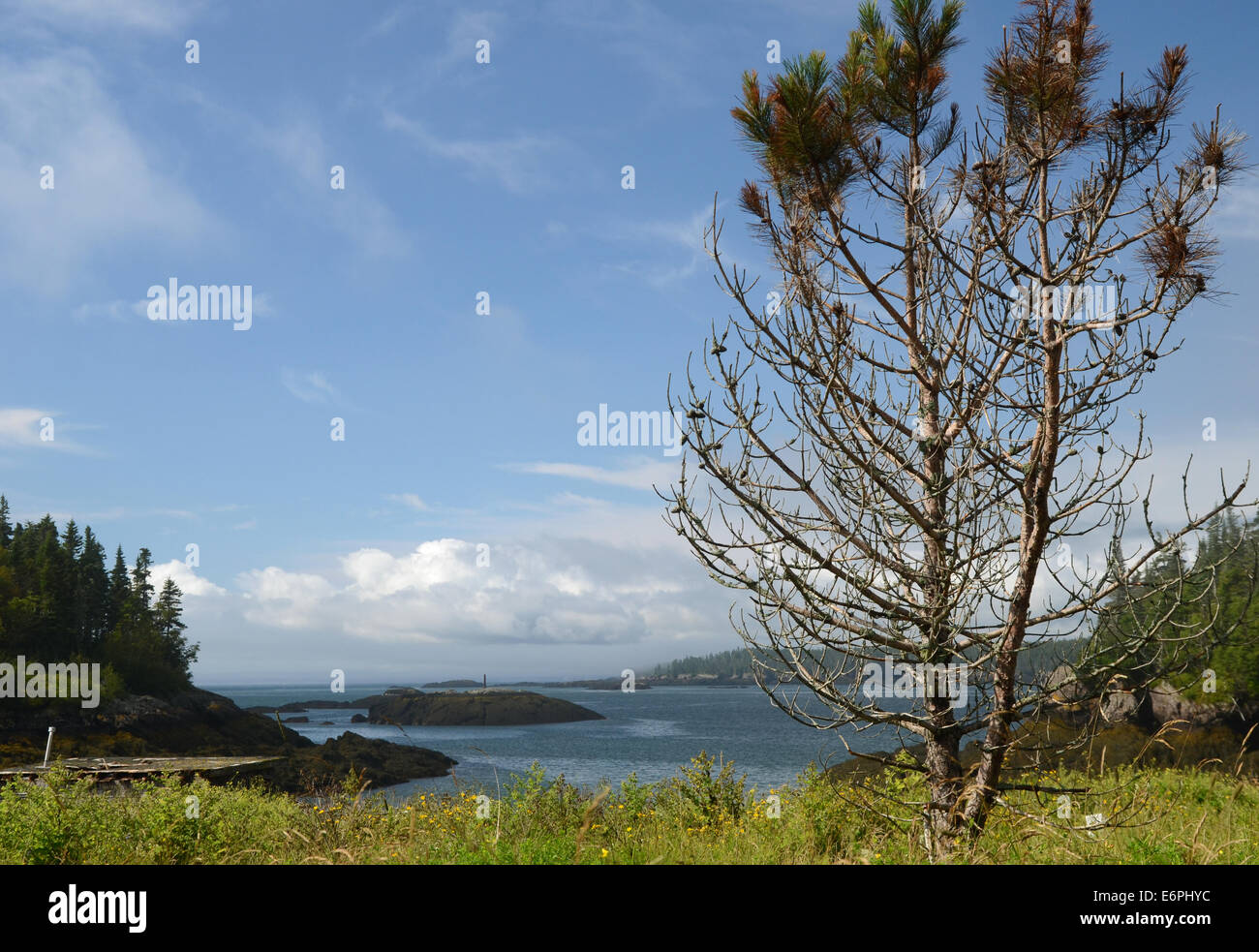 Blacks Harbour, New Brunswick, Canada Stock Photo - Alamy