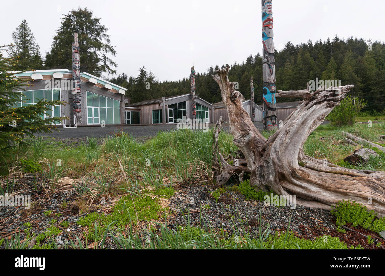 Elk203-4497 Canada, British Columbia, Haida Gwaii, Skidegate, Haida ...