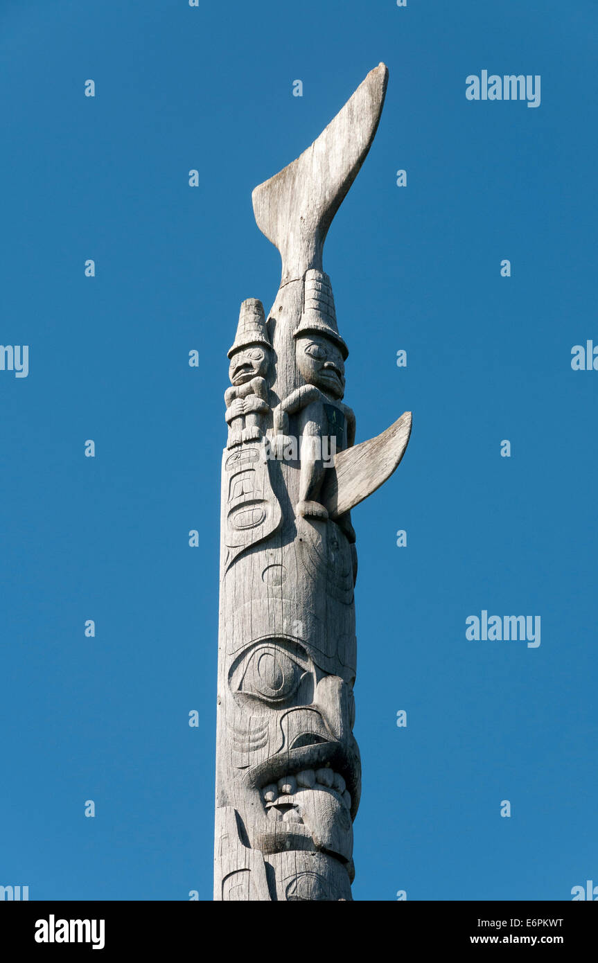 Elk203-4510v Canada, British Columbia, Haida Gwaii, Skidegate, Bill ...