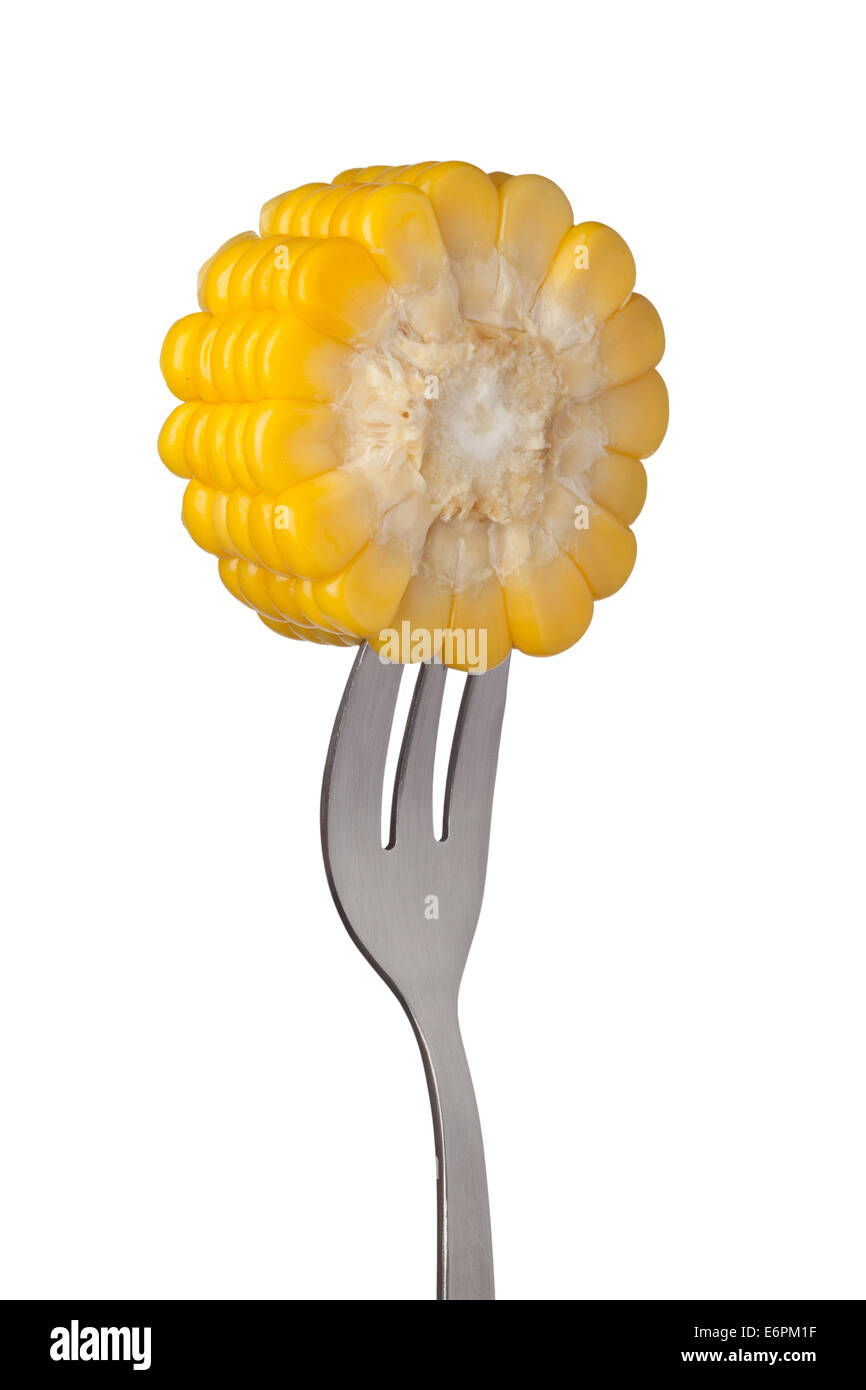 Piece of sweet corn held by a fork isolated on white background Stock ...