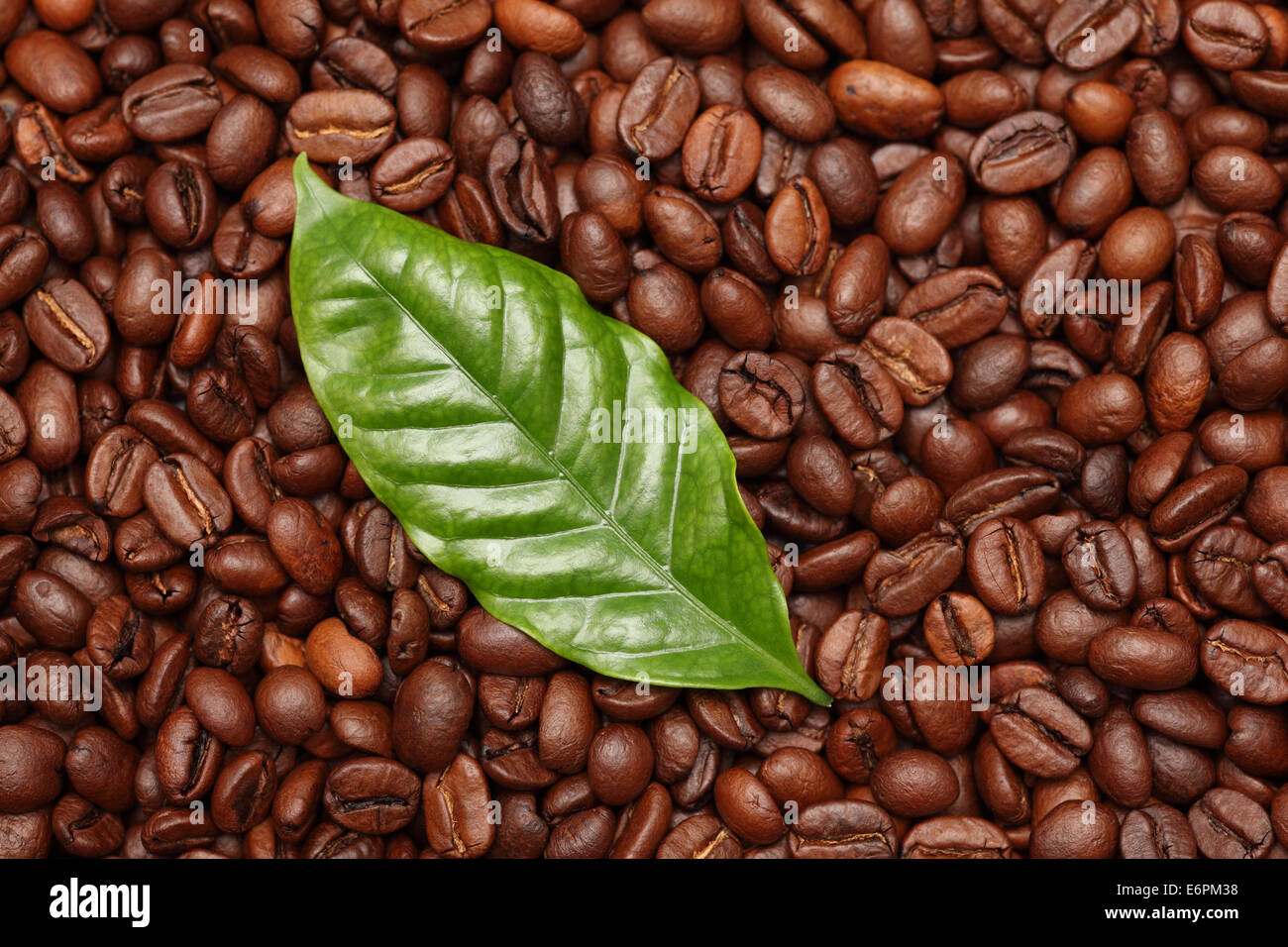 Coffee beans and coffee leaf Stock Photo - Alamy