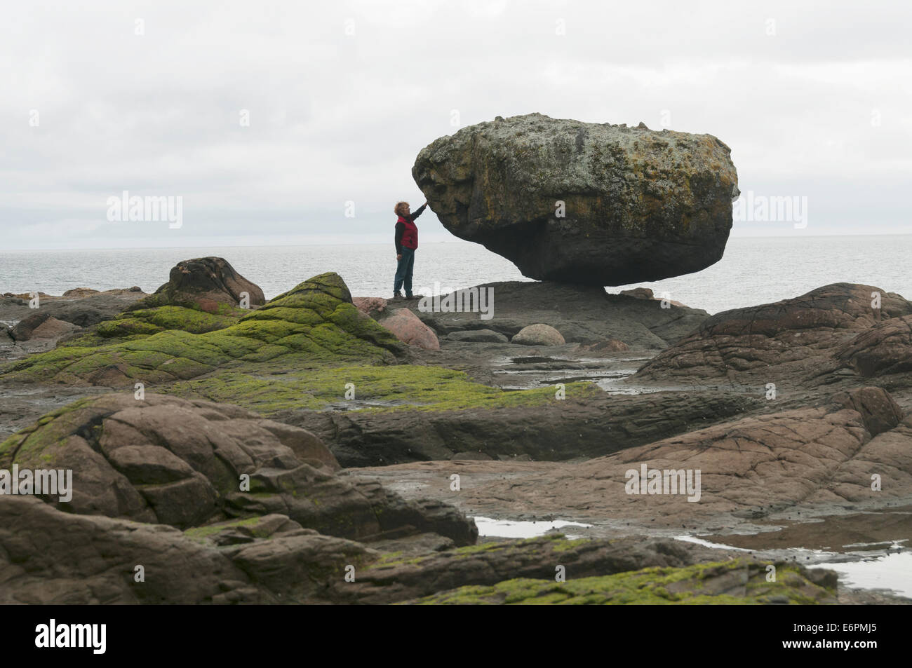 Elk203-4542 Canada, British Columbia, Haida Gwaii, Skidegate, balance ...