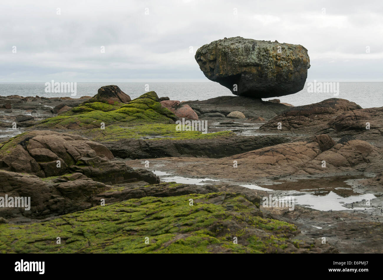 Elk203-4546 Canada, British Columbia, Haida Gwaii, Skidegate, balance ...