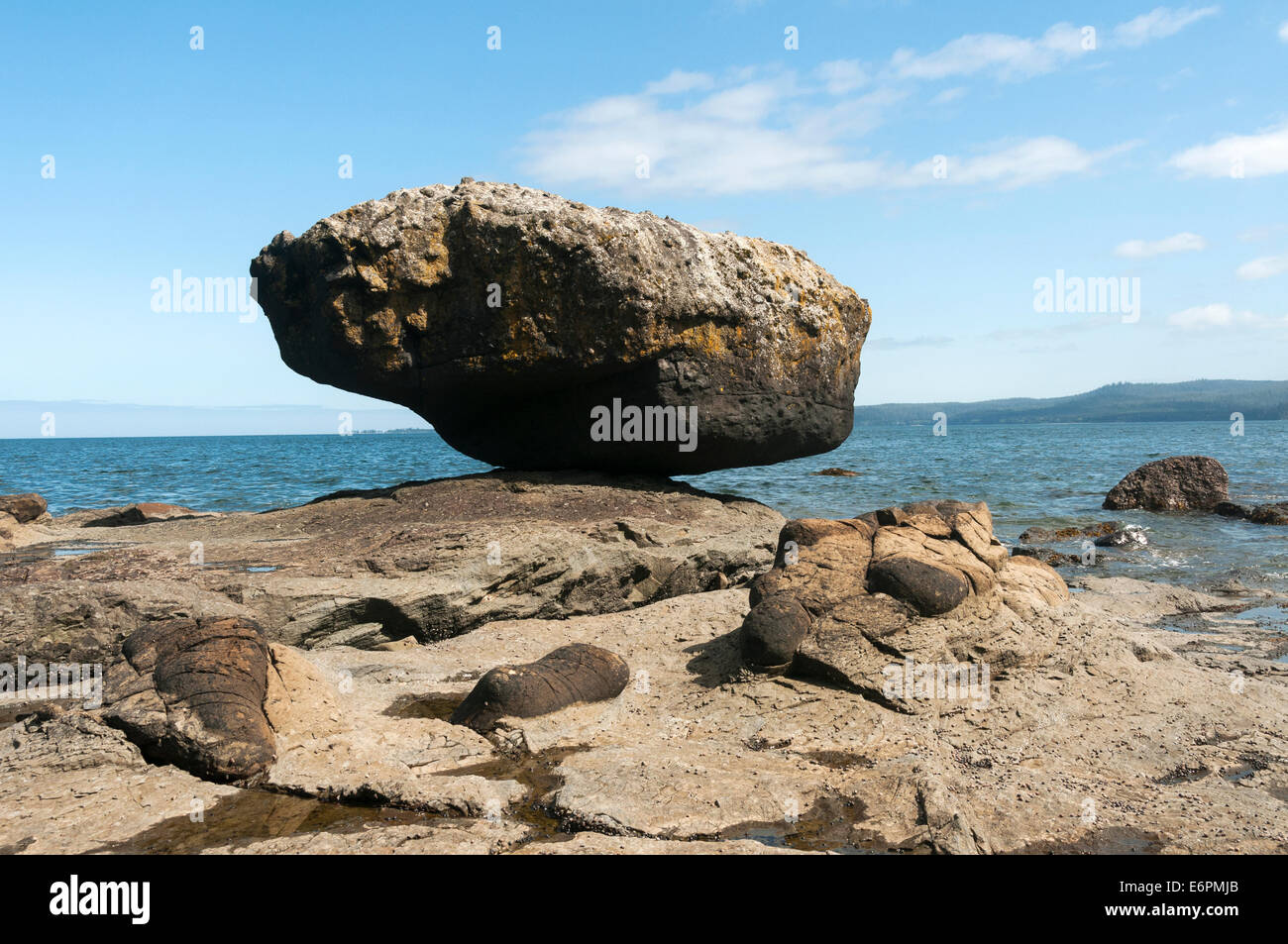 Elk203-4548 Canada, British Columbia, Haida Gwaii, Skidegate, balance ...