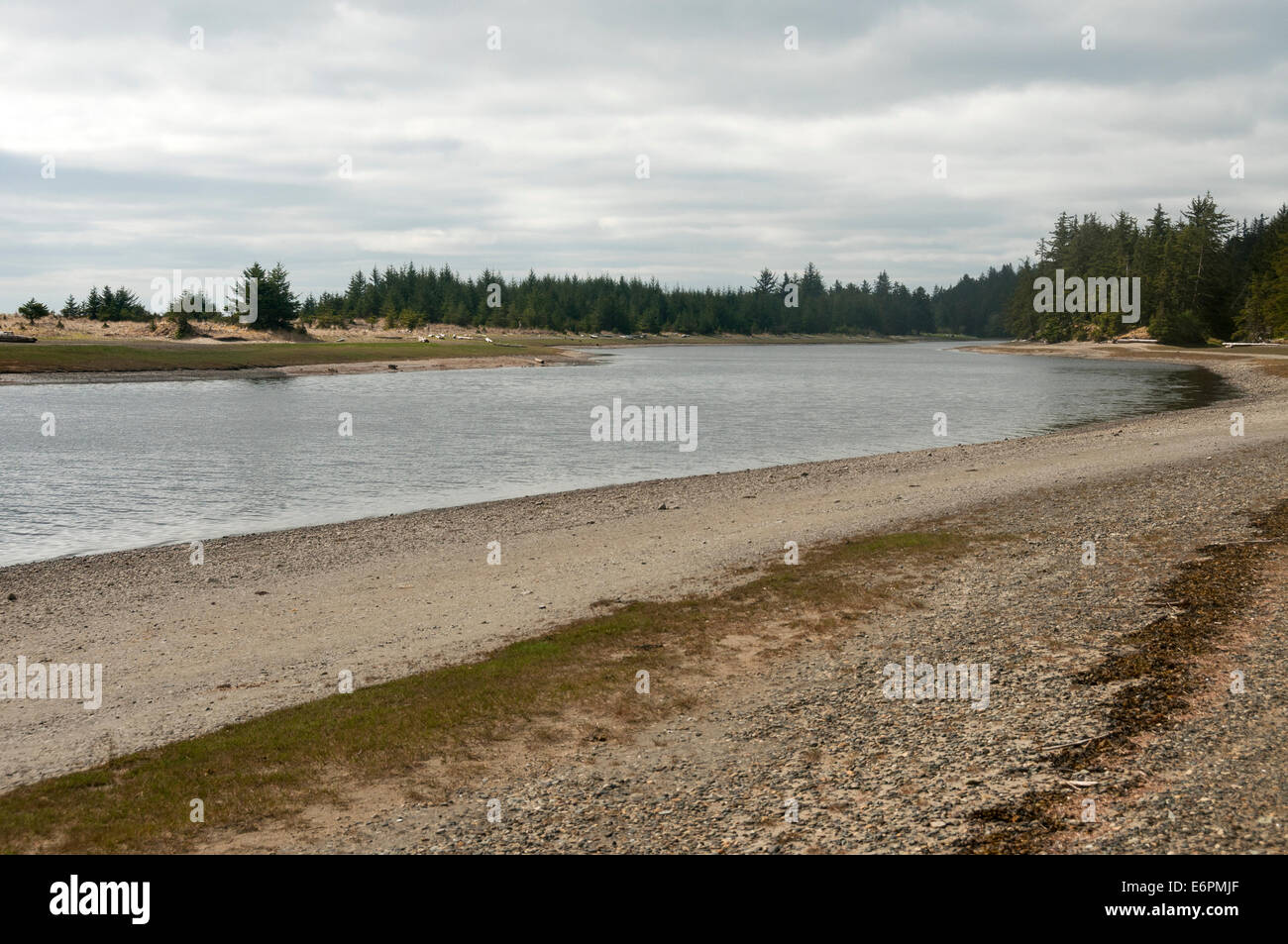 Elk203-4561 Canada, British Columbia, Haida Gwaii, Tlell, tidal river ...
