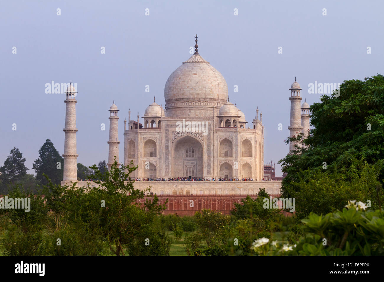 The Taj Mahal just before sunset, from Mehtab Bagh gardens in Agra ...
