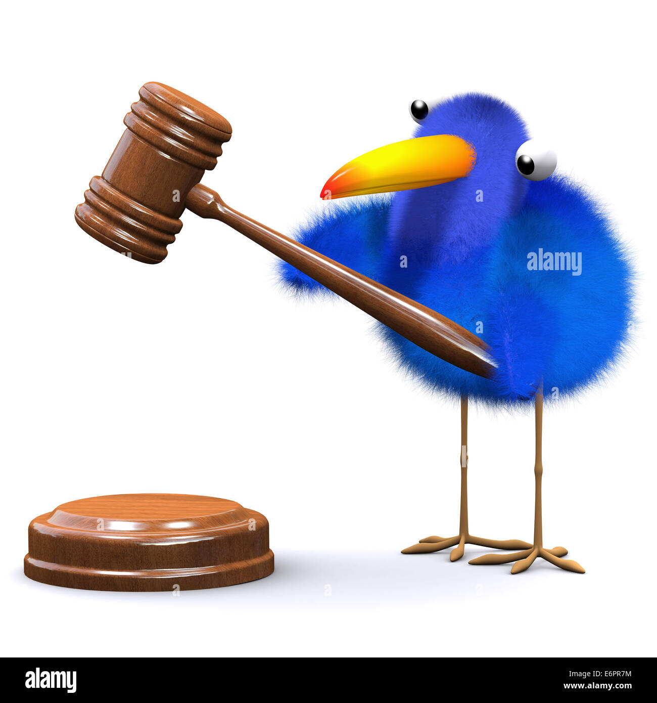 3d render of a blue bird with an auctioneers gavel Stock Photo - Alamy