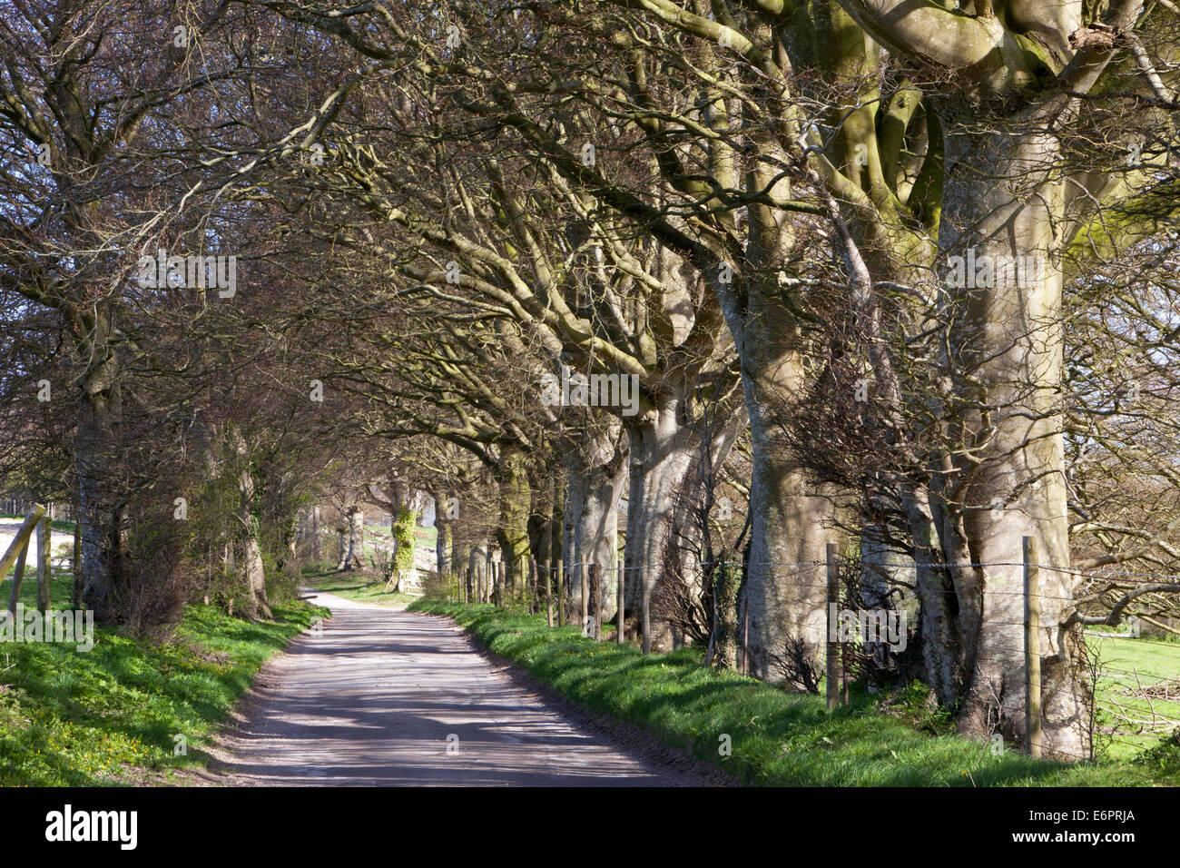 Corton hill hi-res stock photography and images - Alamy