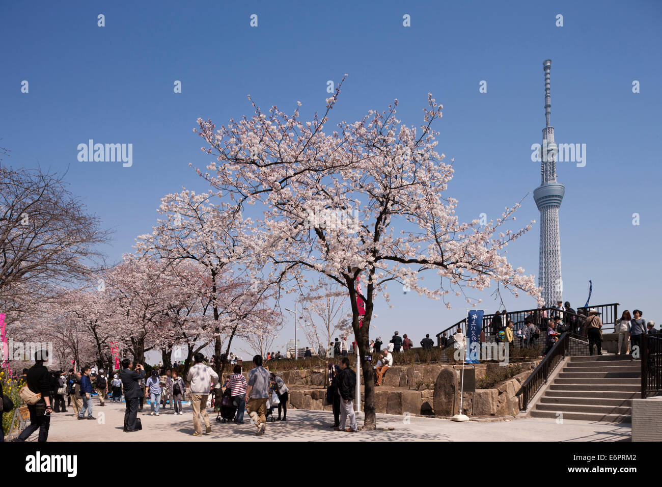 Tokyo tower stairs hi-res stock photography and images - Alamy