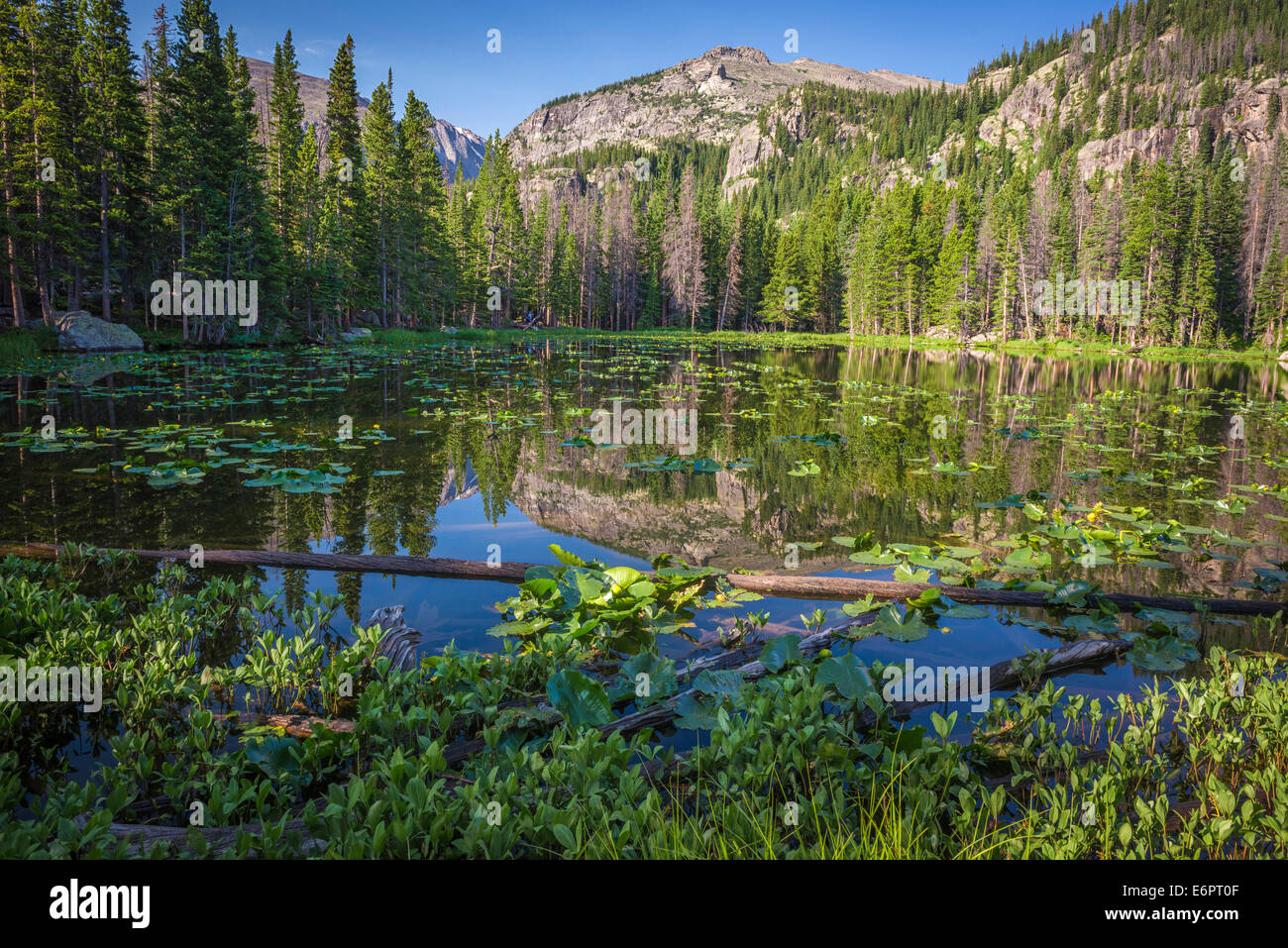 Usa Parks Mountains Lake