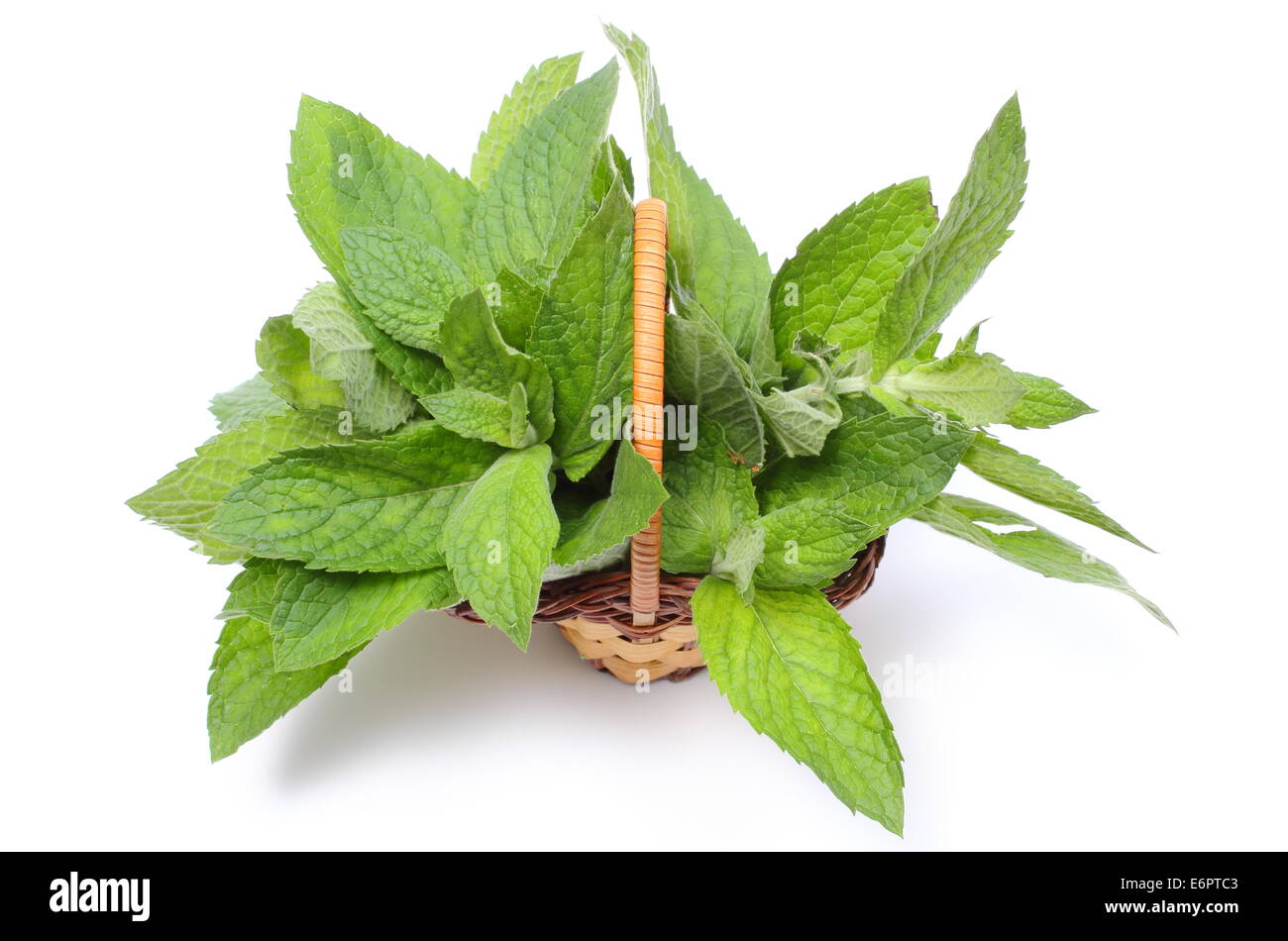 Bunch of fresh natural green mint in wicker basket isolated on white ...