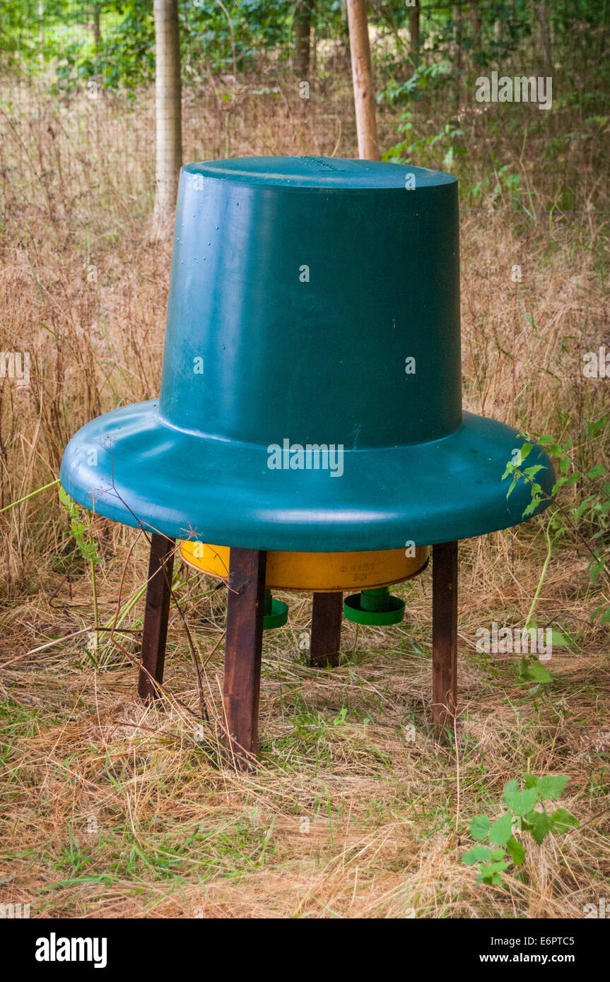 Feeders for pheasants, partridges and game birds on a traditional ...