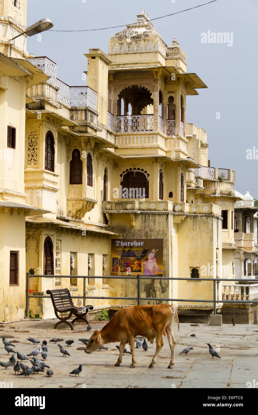 Early morning scene with roaming cow at the empty waterfront promenade ...