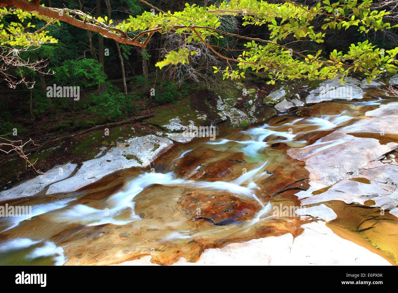 Ehime Prefecture, Japan Stock Photo - Alamy