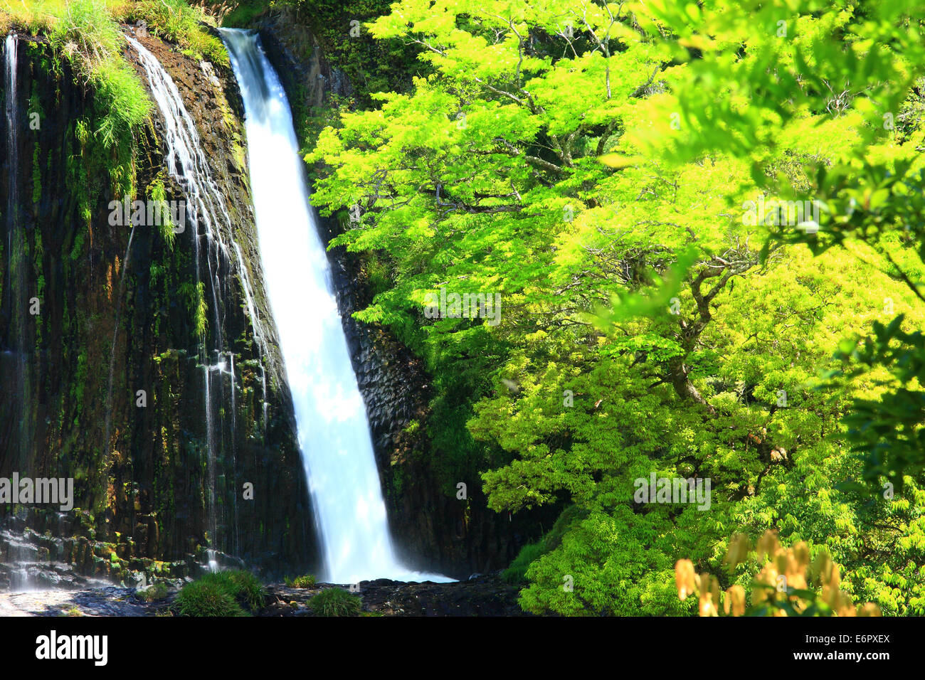 Oita Prefecture, Japan Stock Photo - Alamy