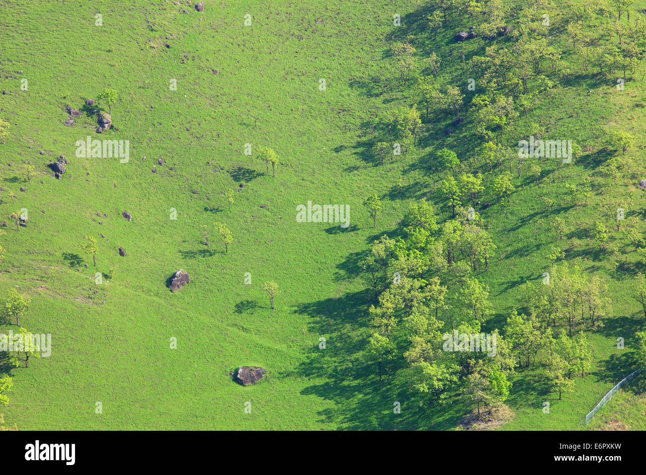 Oita Prefecture, Japan Stock Photo - Alamy