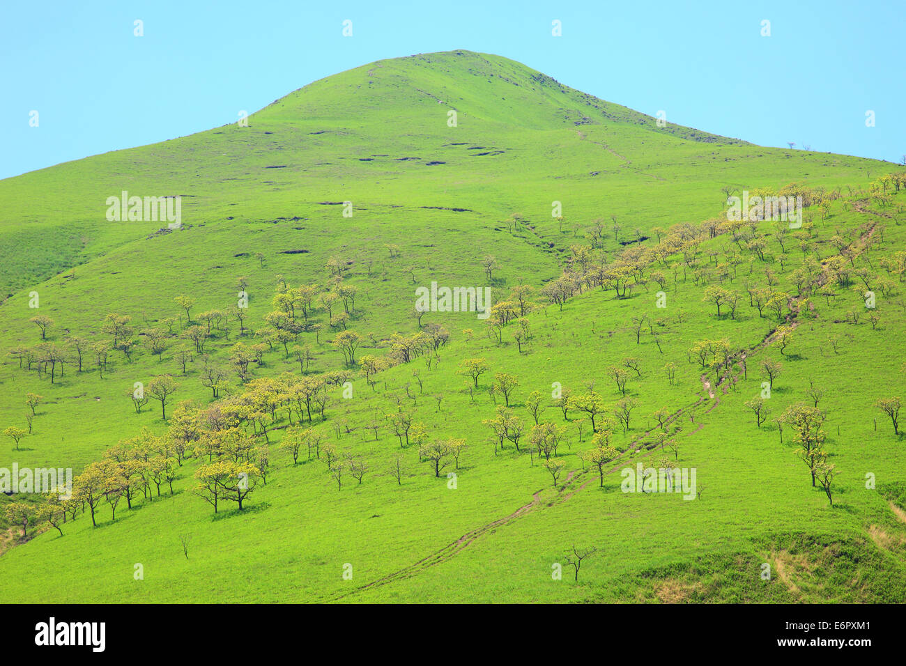 Oita Prefecture, Japan Stock Photo - Alamy