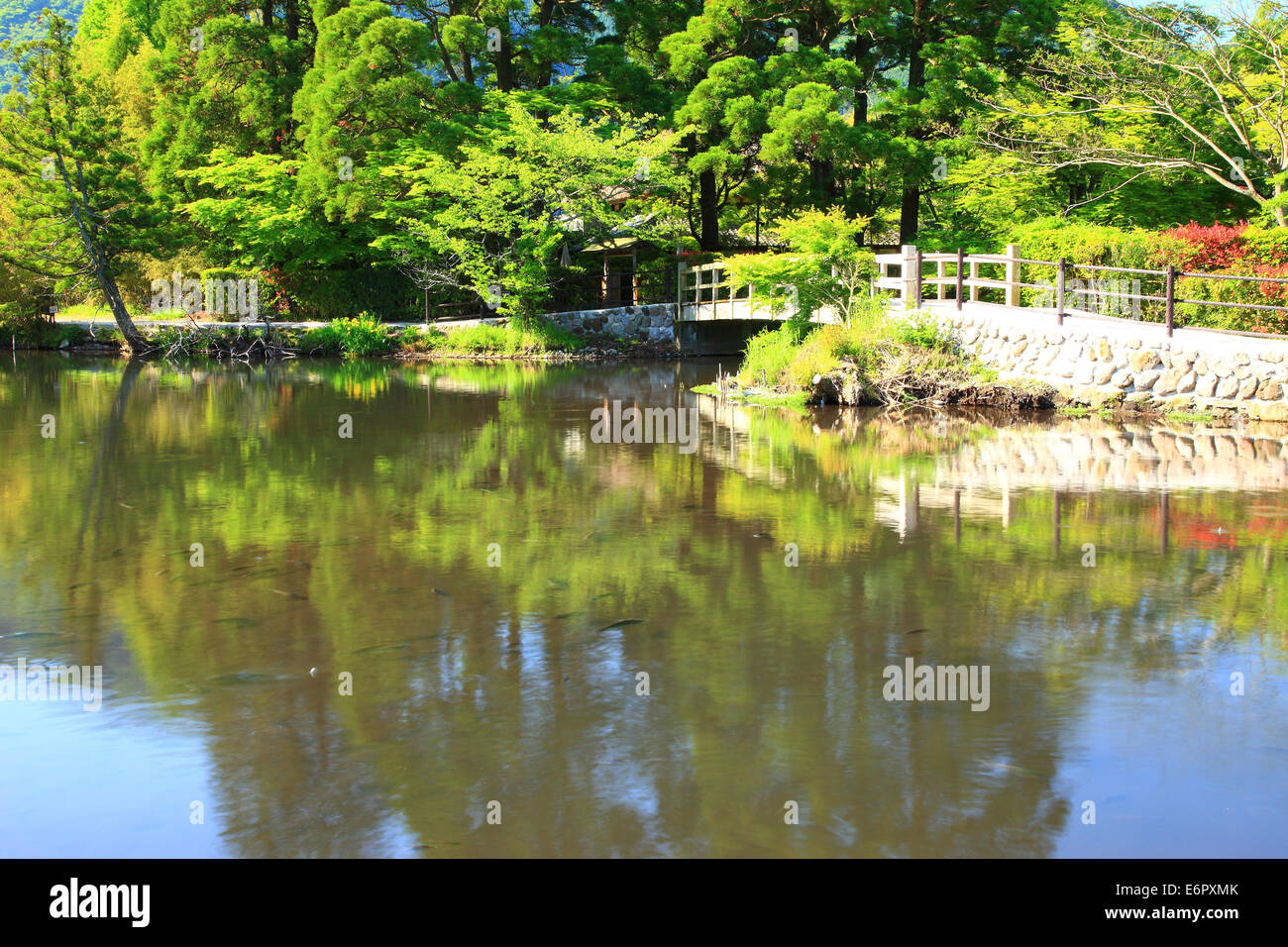 Oita Prefecture, Japan Stock Photo - Alamy