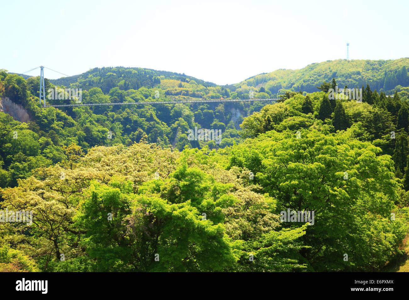 Oita Prefecture, Japan Stock Photo - Alamy