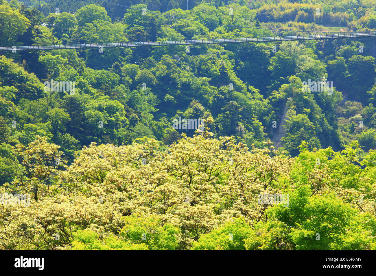 Oita Prefecture, Japan Stock Photo - Alamy