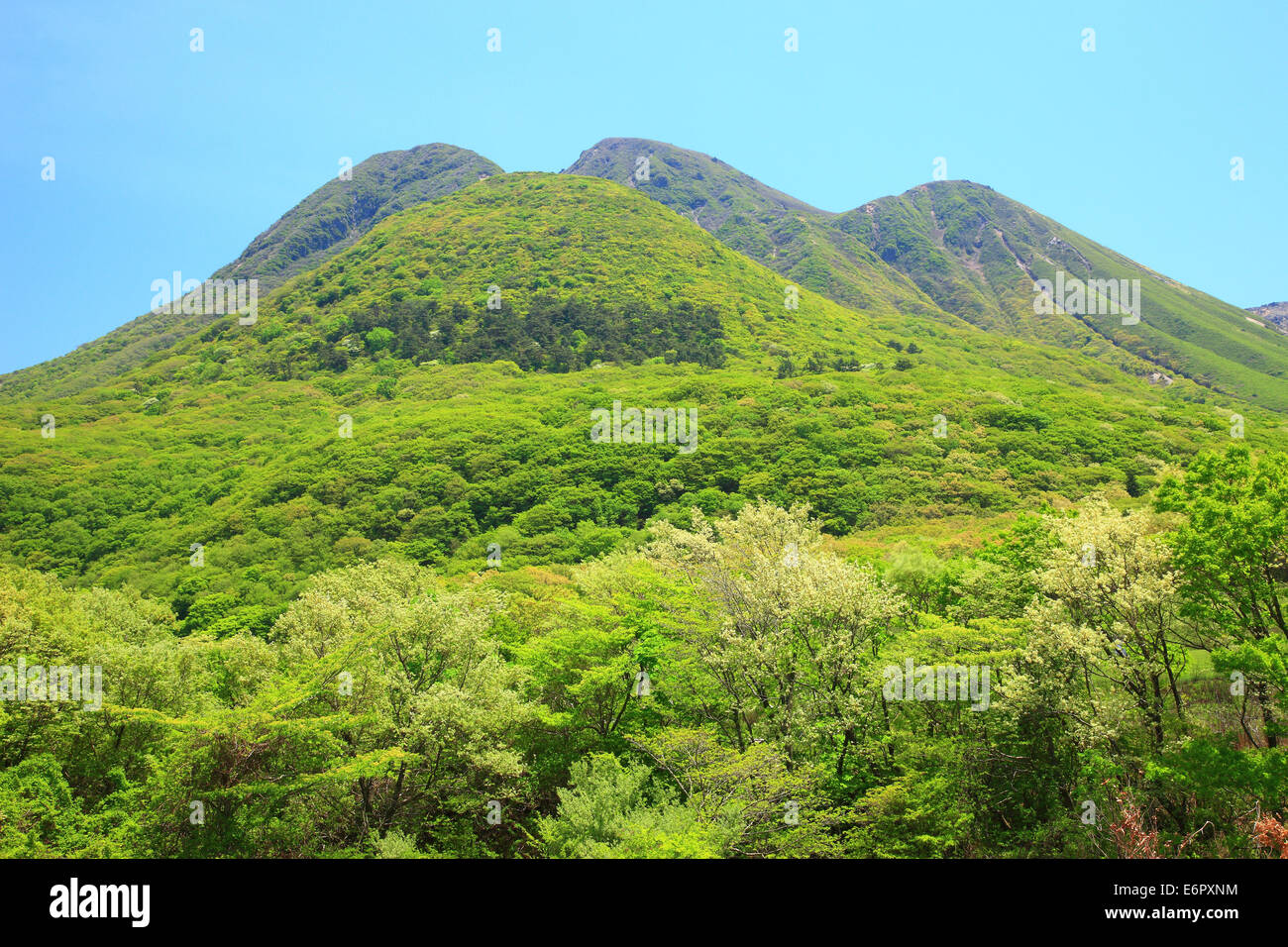 Oita Prefecture, Japan Stock Photo - Alamy
