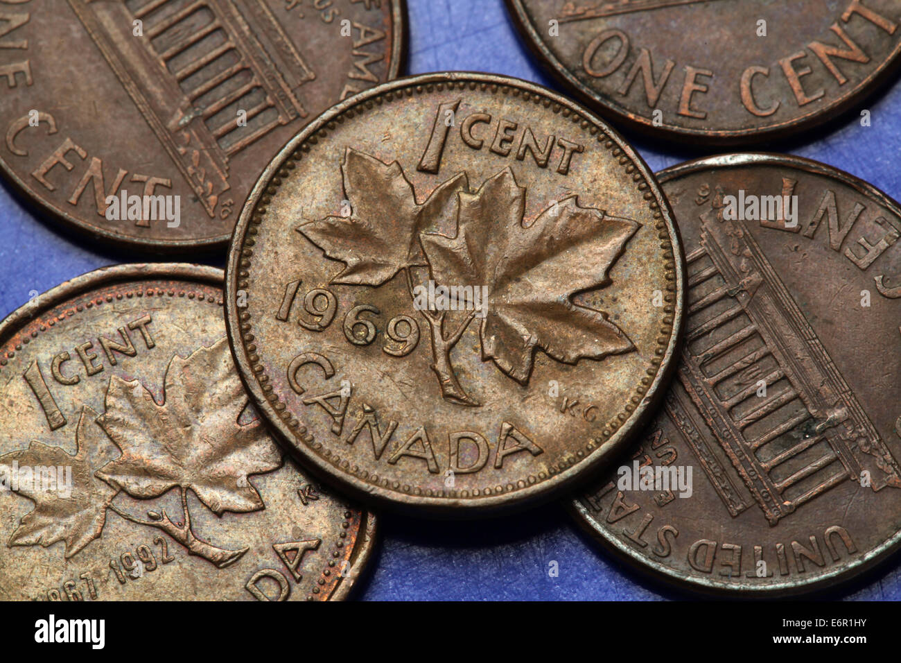 Coins of Canada. Maple leaves depicted in the Canadian one cent coin ...